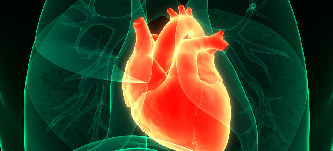 NIH Grant Supports Innovative Multifaceted Heart Study - InventUM