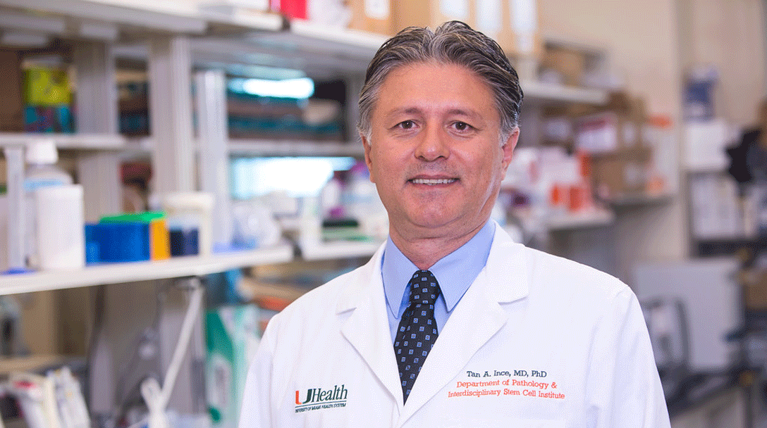 HDAC7 Gene Plays a Critical Role in Breast Cancer Stem Cells - InventUM