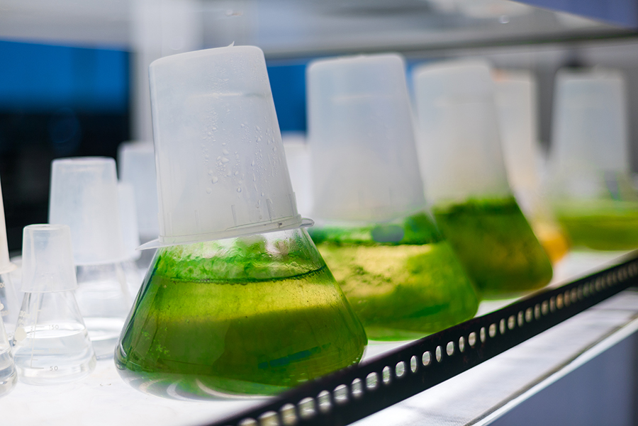 Taming a Toxic Stew - InventUM