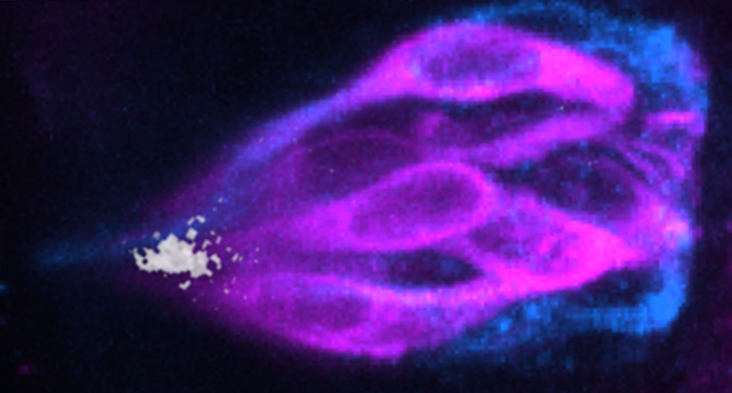 A Dash of Hope: Revealing the Mystery Behind How We Taste Salt - InventUM