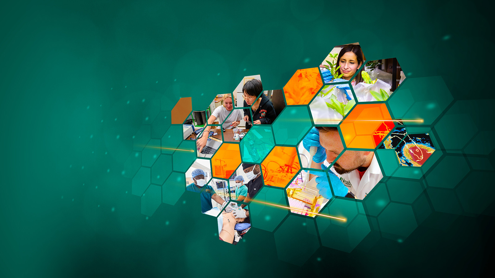 University of Miami Selected to Join Association of American ...