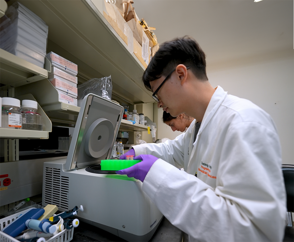 Reinvigorating T Cells to Fight Disease - InventUM