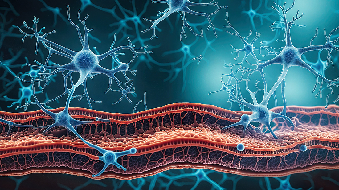 Revolutionary Therapies Offer Hope to Patients with Neuromuscular ...