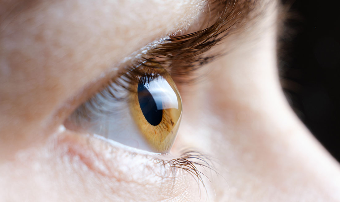 Bascom Palmer Eye Institute's “Moon Shot” Whole Eye Transplant Research ...