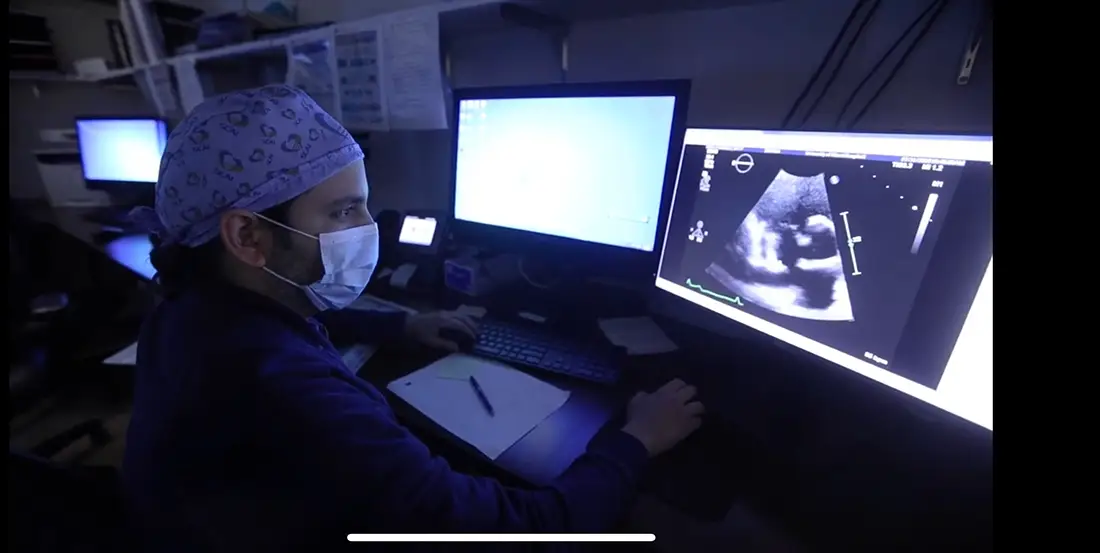 The Highest Standards of Quality: UHealth Echocardiography Lab ...
