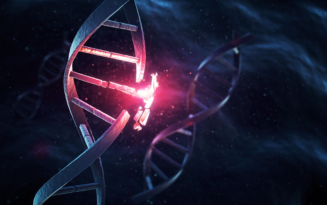 The Genetic Cause of a Rare, Neurodevelopmental Disorder - InventUM