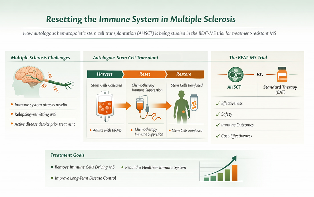 Beat-MS Trial at University of Miami Tests Stem Cell Therapy for ...